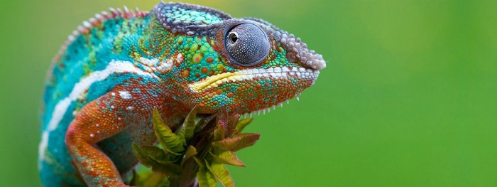 Participe do 15° Simpósio de Biologia (Simbio 2015) - UniNorte Manaus